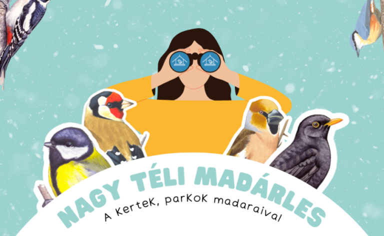 Indul a téli madárles – Újpest Media
