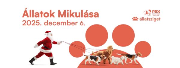 Jótékonysági programokat szervez a Rex Kutyaotthon Alapítvány – Újpest ...