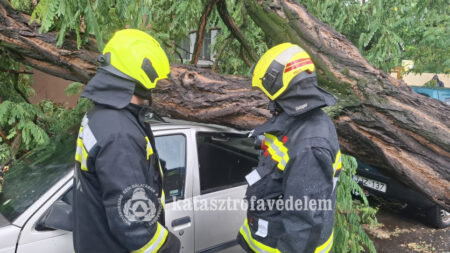 Viharkárok a fővárosban – Újpest Media